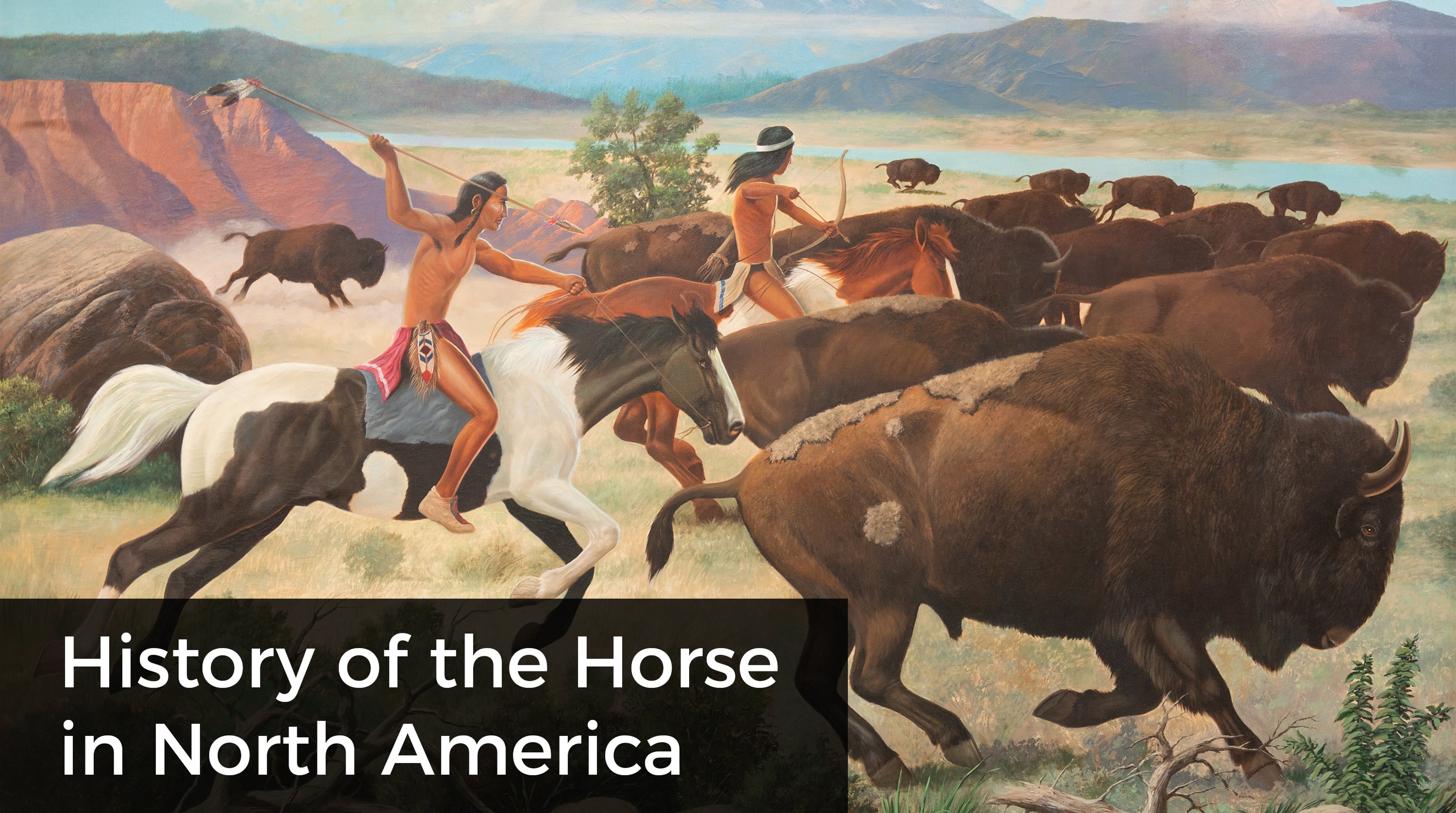 History of the Horse in North America — Cisco's Gallery
