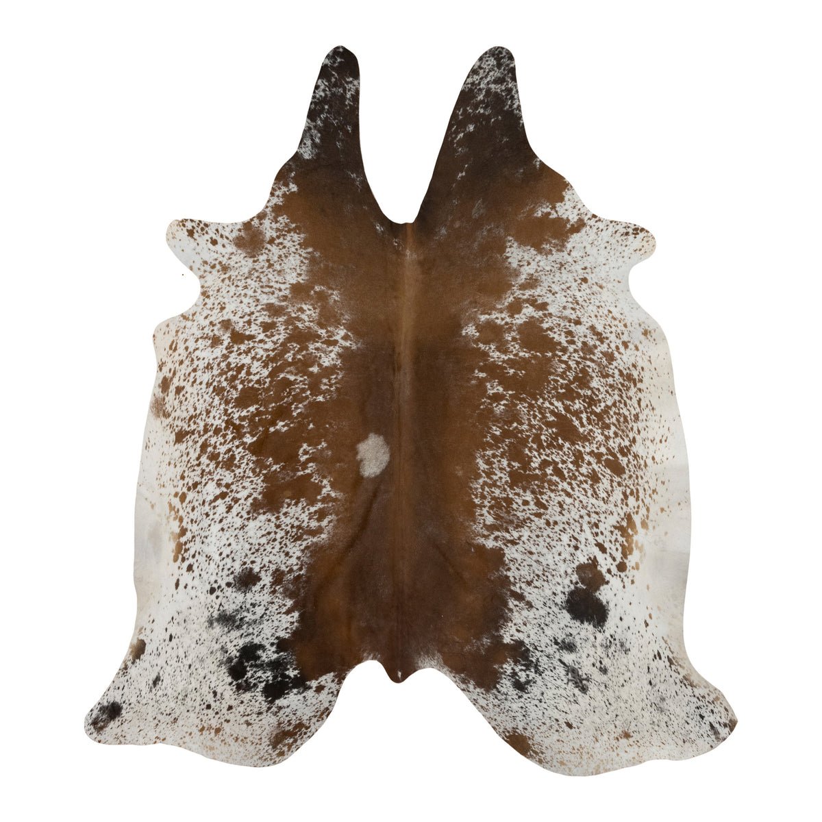 Speckled Longhorn Hide — Cisco's Gallery