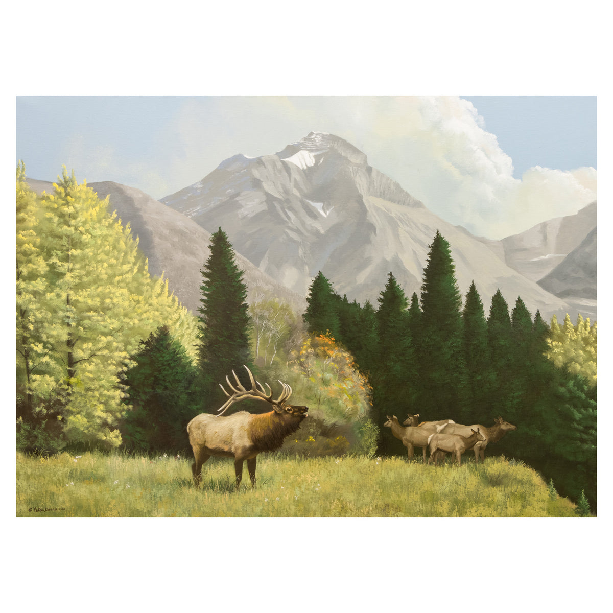 "High Mountain Meadows" Original by Peter Darro — Cisco's Gallery