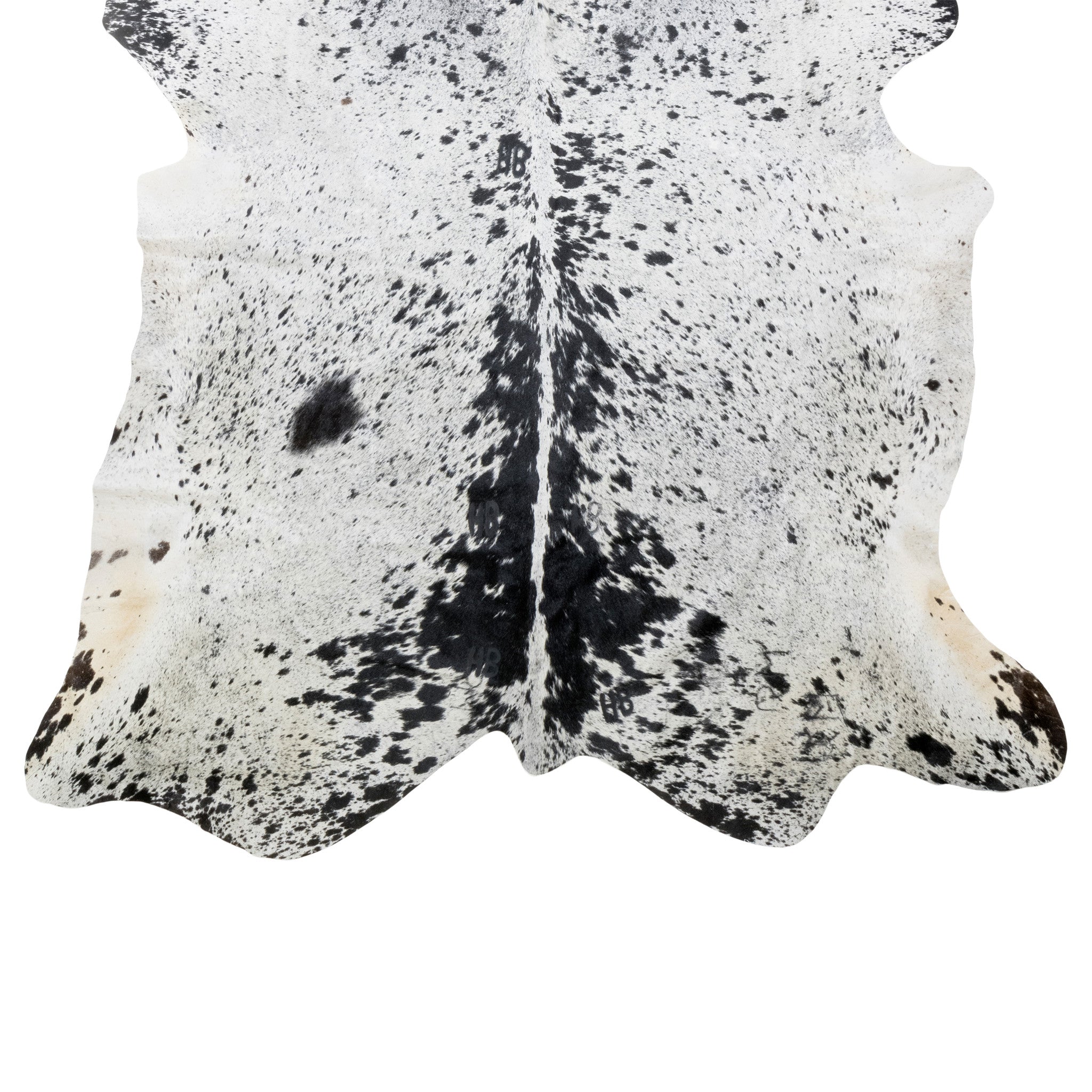 Extra Large Longhorn Hide — Cisco's Gallery