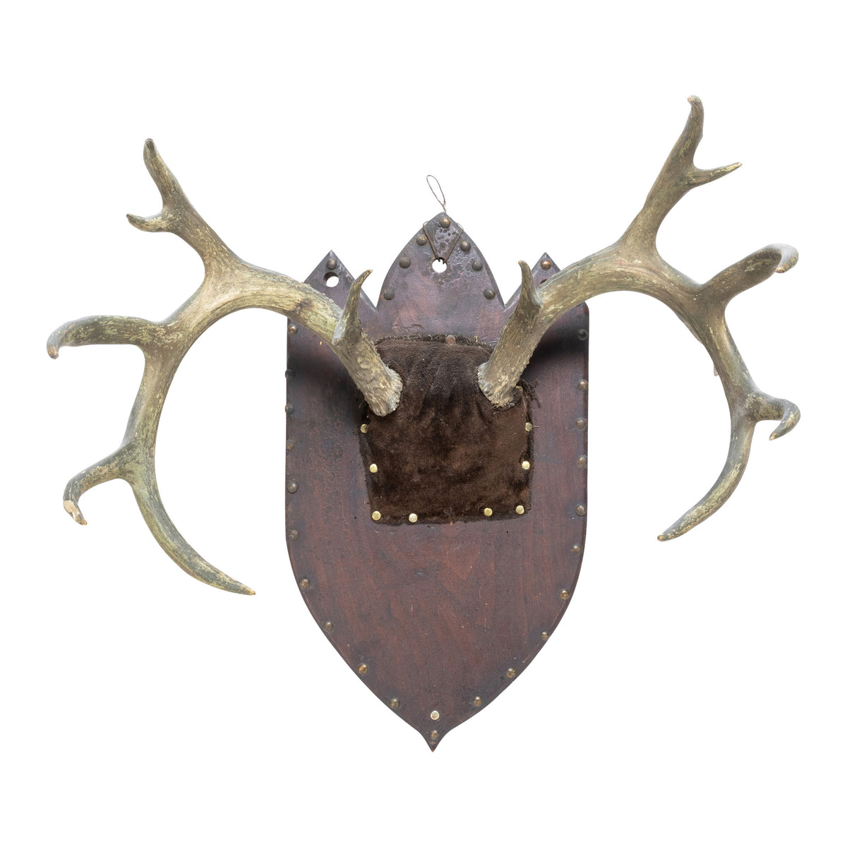 Non-Typical Whitetail Plaque — Cisco's Gallery