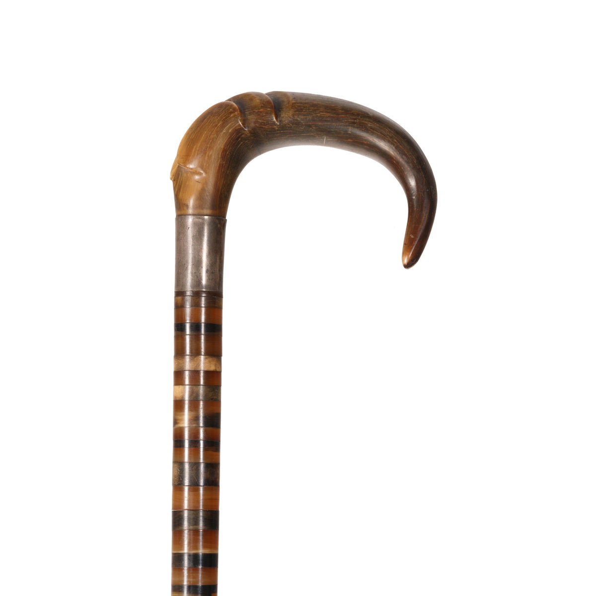 Highly Polished Steer Horn Cane — Cisco's Gallery