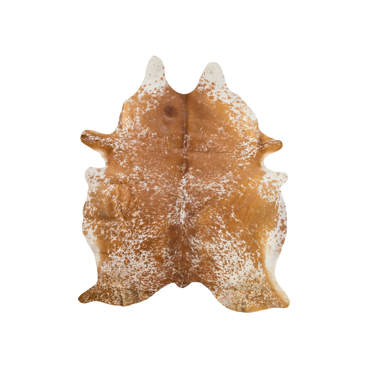 Longhorn Hide — Cisco's Gallery