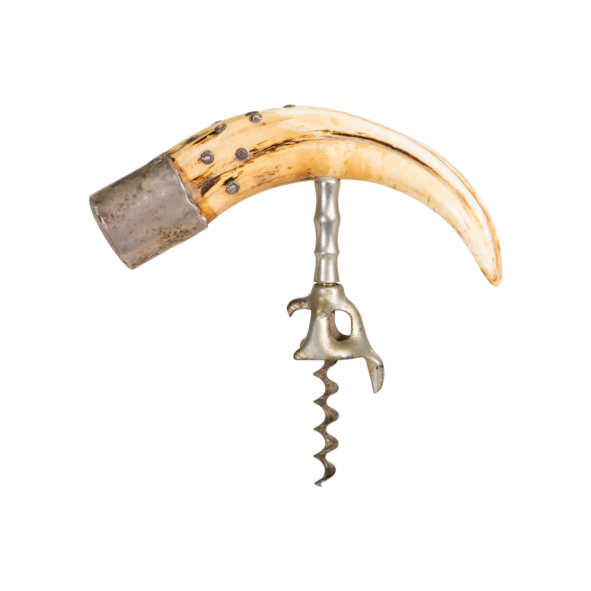 Boar Tusk Corkscrew — Cisco's Gallery