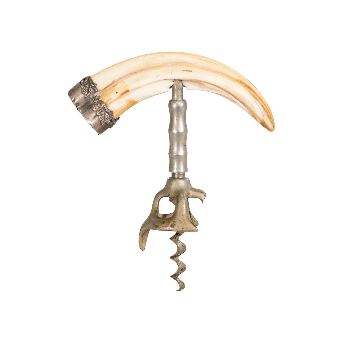 Boar Tusk Corkscrew — Cisco's Gallery