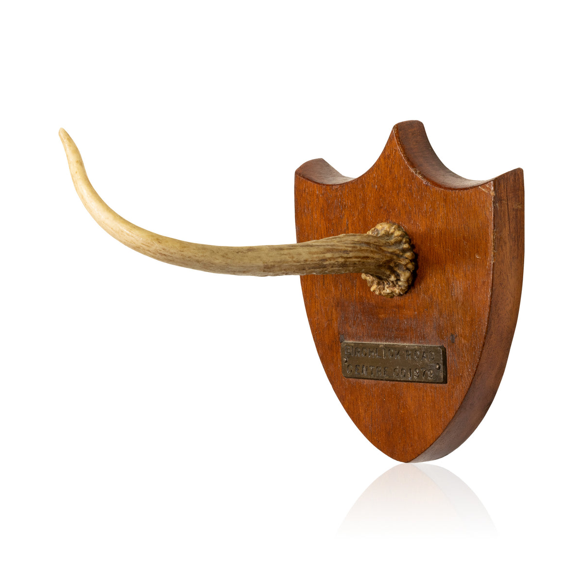 Deer Trophy Plaque — Cisco's Gallery