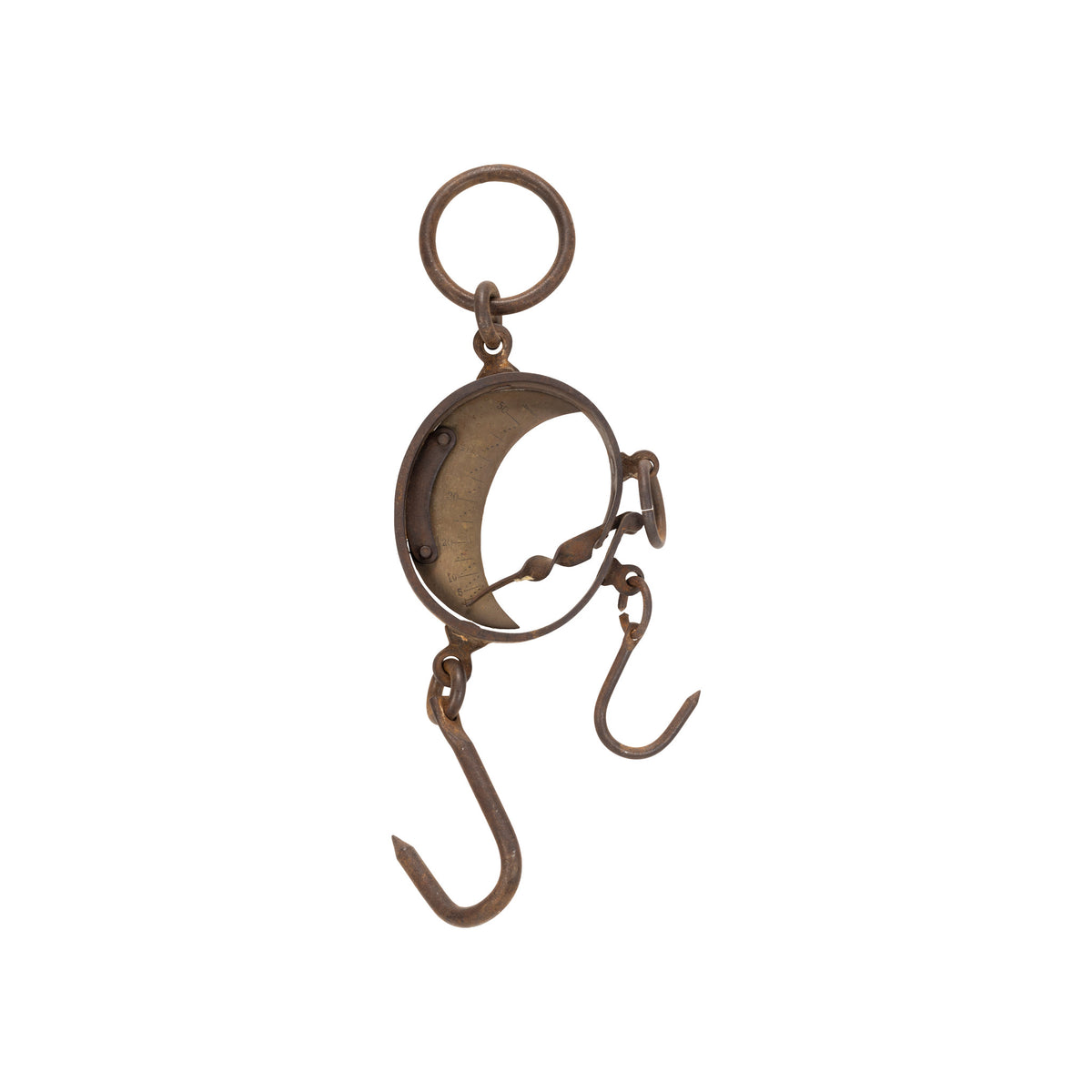 Buffalo Hide Scale — Cisco's Gallery