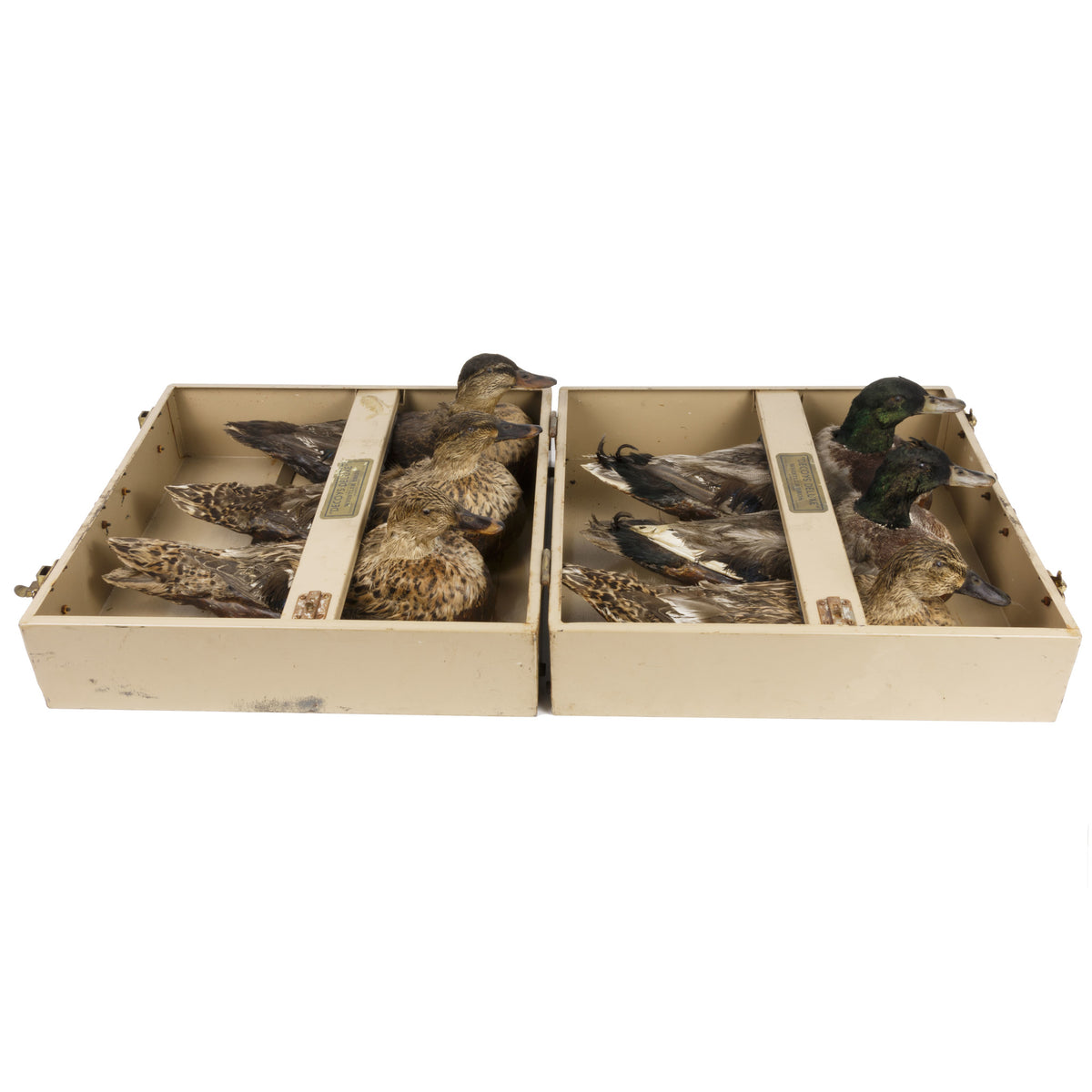 Whistler Brothers Mallard Decoy Set — Cisco's Gallery